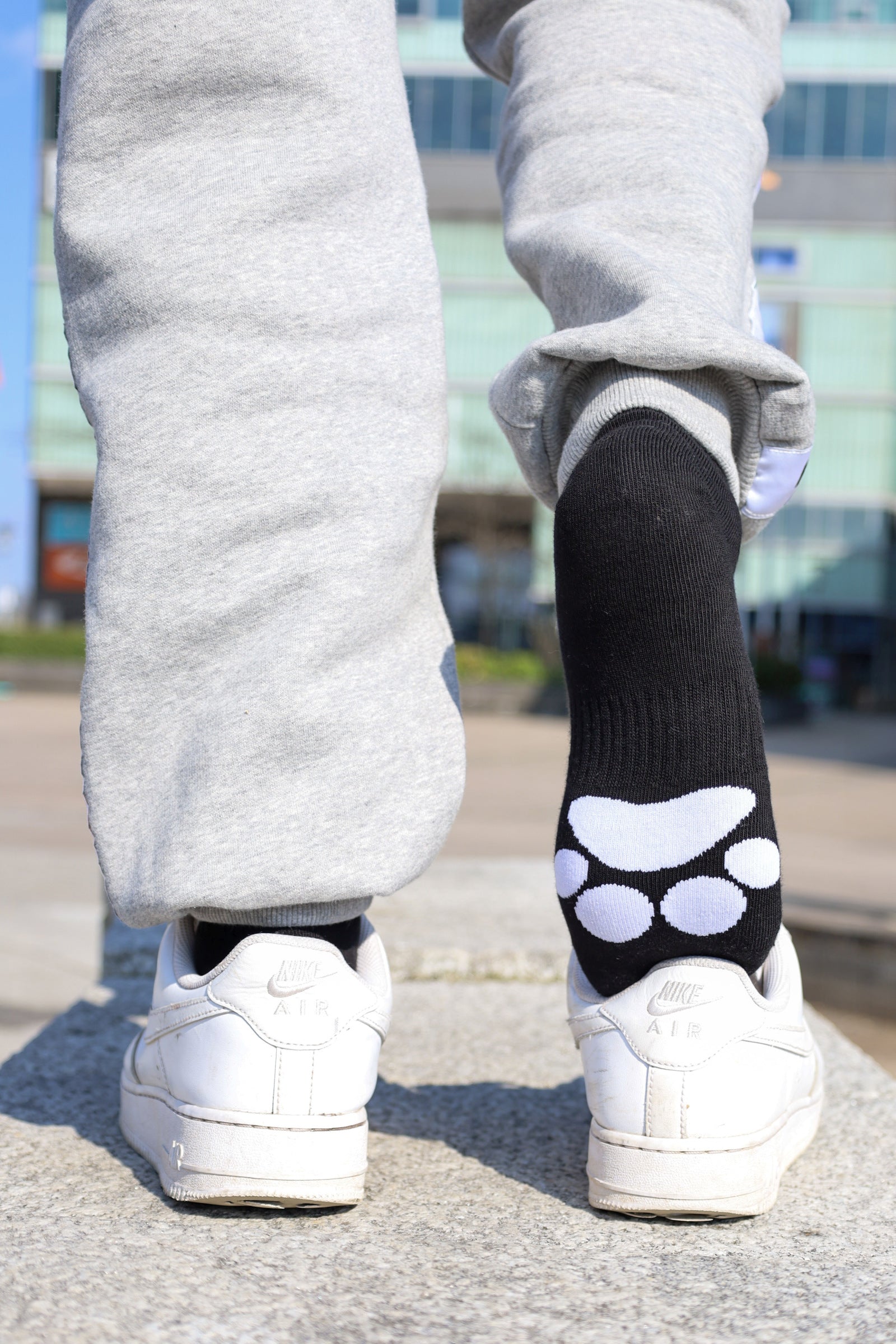 PUPPY Short Crew Socks black | PAW | Sk8erboy®